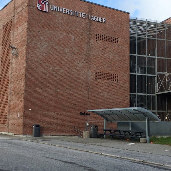 Universitetet i Agder - University