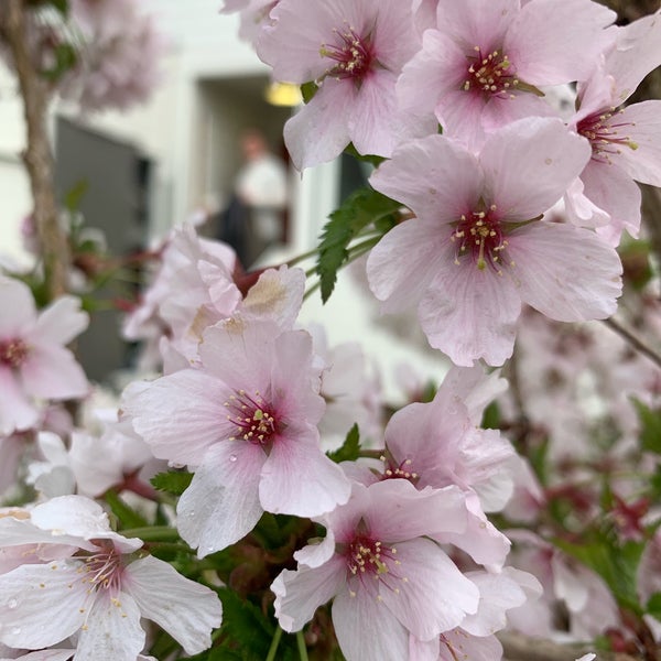 Alna Senter - Shopping Mall in Oslo