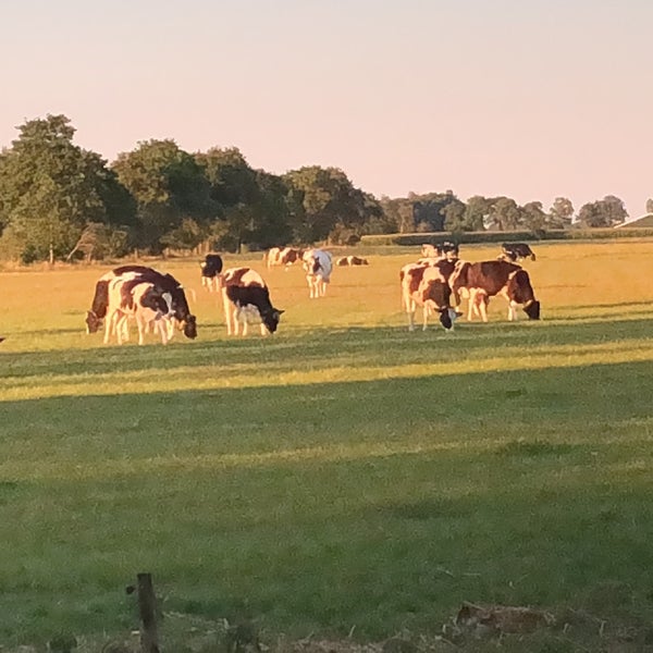 Oosterwolde - 1 tip from 276 visitors