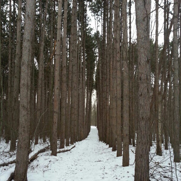 Lillian Anderson Arboretum - Hiking Trail in Kalamazoo