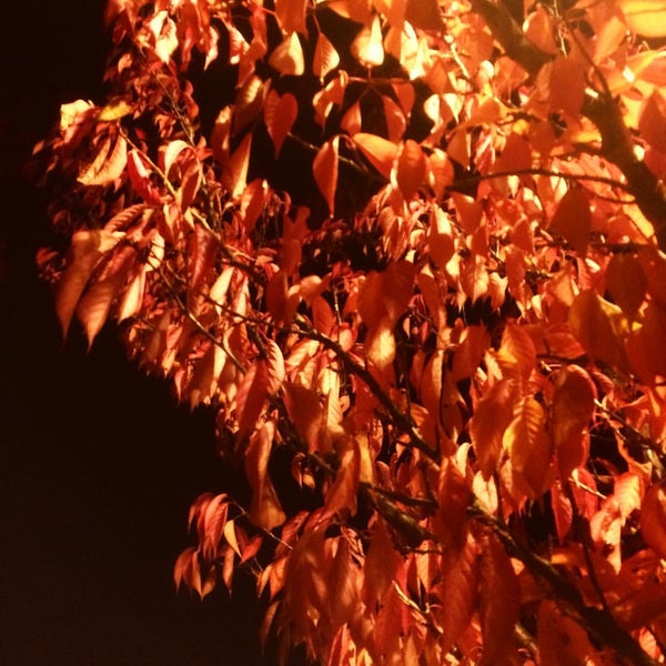 Waitrose & Partners - Supermarket in Lichfield
