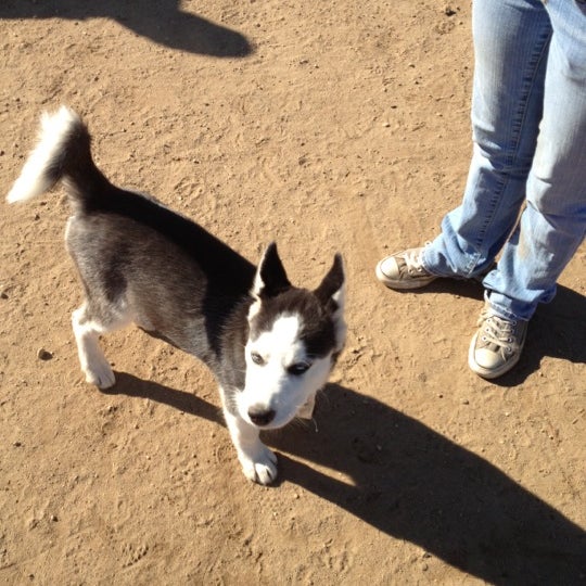 Alice B. Sullivan Dog Park - 3 tips from 74 visitors