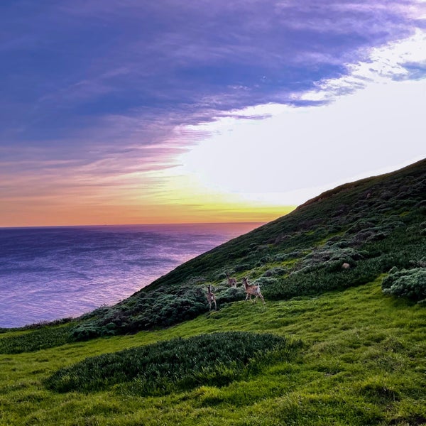 Bear Valley Visitor Center - Tourist Information and Service in Point ...