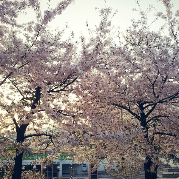 하나로클럽 (Hanaro Club) - 구미동 - 성남시, 경기도