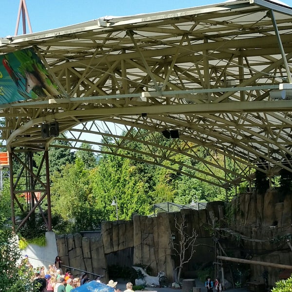 Wild Wonders Outdoor Theater - Amphitheater in West End