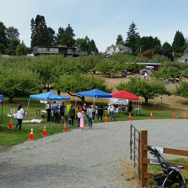 Curran Apple Orchard - University Place, WA