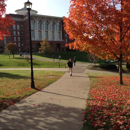 Photos at William T. Young Library - 22 tips