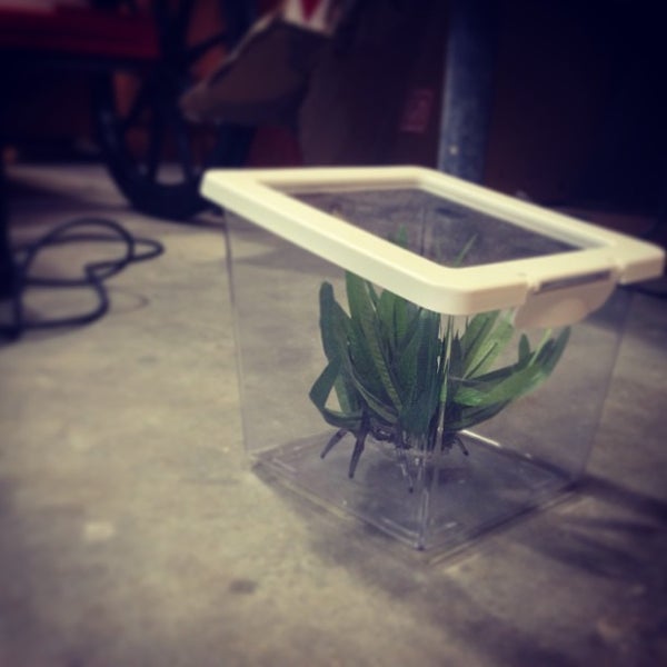 Ceramics & Sculpture Building - Georgia Southern University - College ...