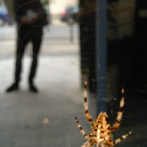 Photos at Telekom Multimedia Solutions (MMS) - Office in Pieschen