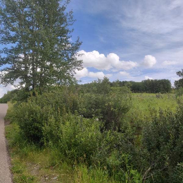 Nose Hill Park - Northwest Calgary - Calgary, AB