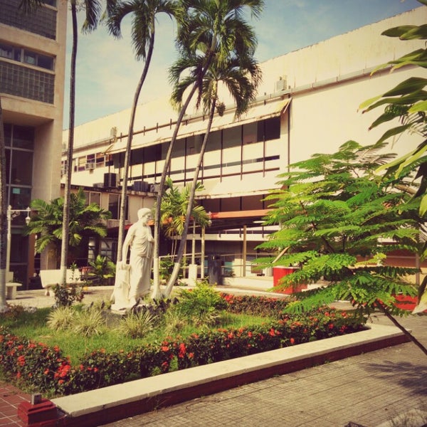 Facultad de Medicina (UP) - 2 tips