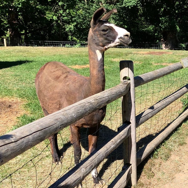 The Friendly Farm - Farm