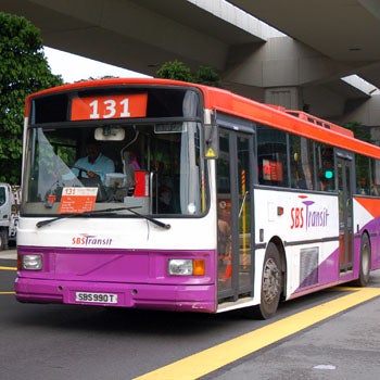 TPD "The Perfect Day" Bus Routes (#01)