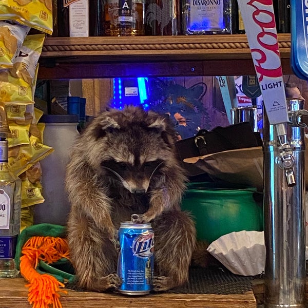 Evergreen Cafe and Raccoon Saloon - 1269 Evergreen Rd