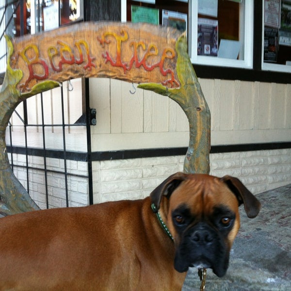 The Bean Tree Cafe - Café in Kimberley