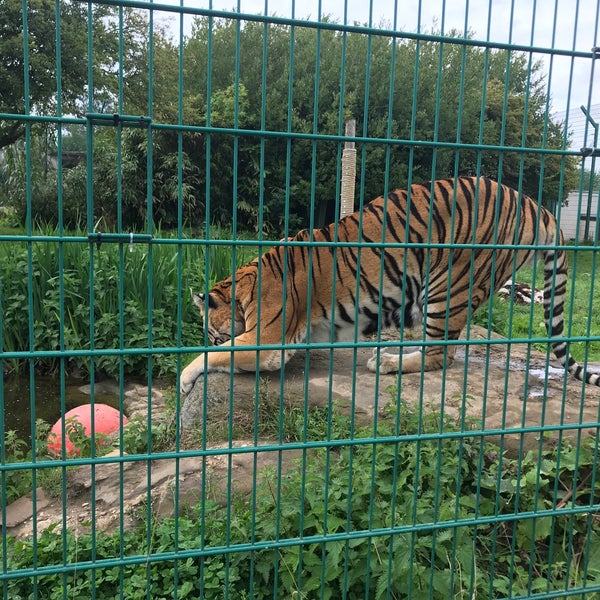 Isle Of Wight Zoo - Sandown, Isle of Wight