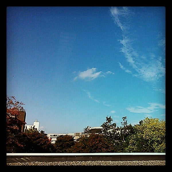 Catherwood Library - 6 tips from 217 visitors