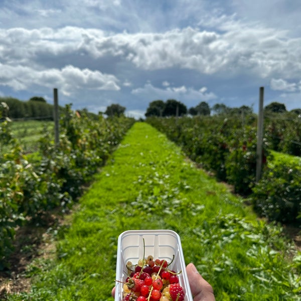 Kenyon Hall Farm - 7 tips