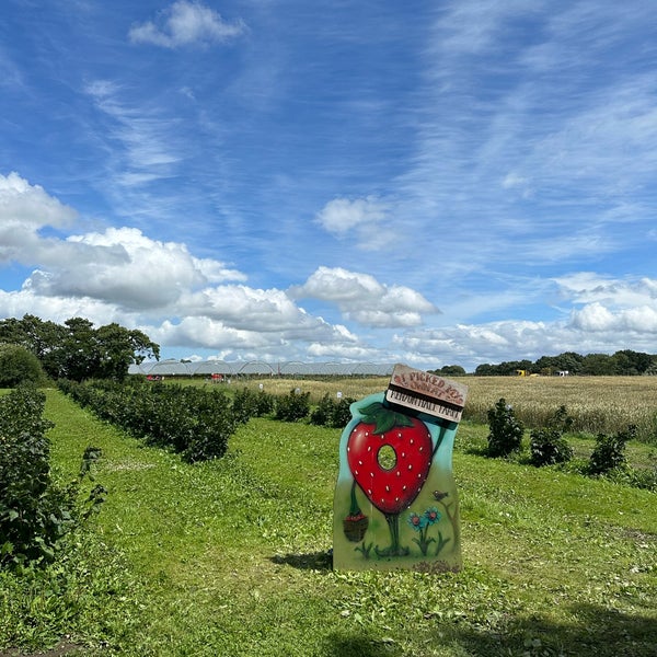 Kenyon Hall Farm - 7 tips