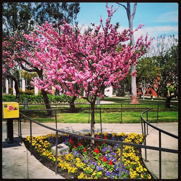 CSULB USU Southwest Terrace - College Quad in Cal State University Long ...