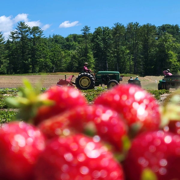 Apple Hill Farm - 5 tips from 106 visitors