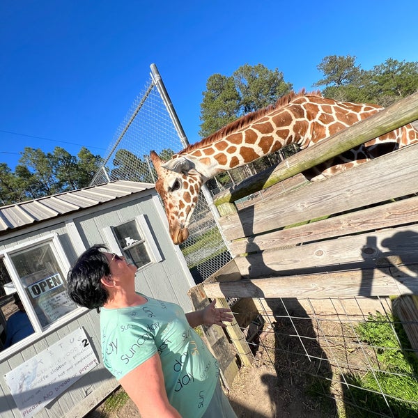 Aloha Safari Zoo Cameron Nc