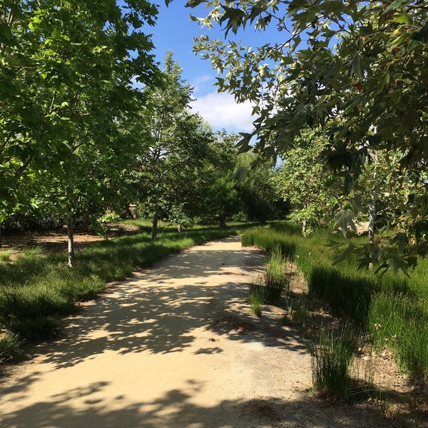 Photos at Jeffrey Road Open Space Trail - Trail in Woodbury