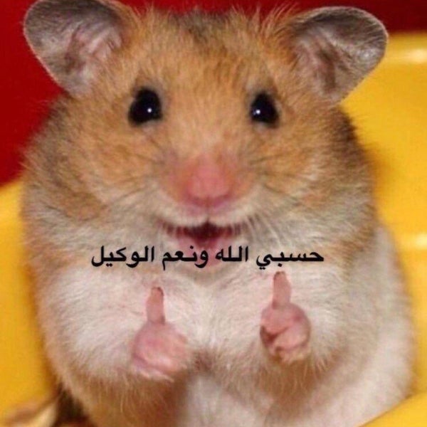 Aramco CPC Gate 23 Parking Lot