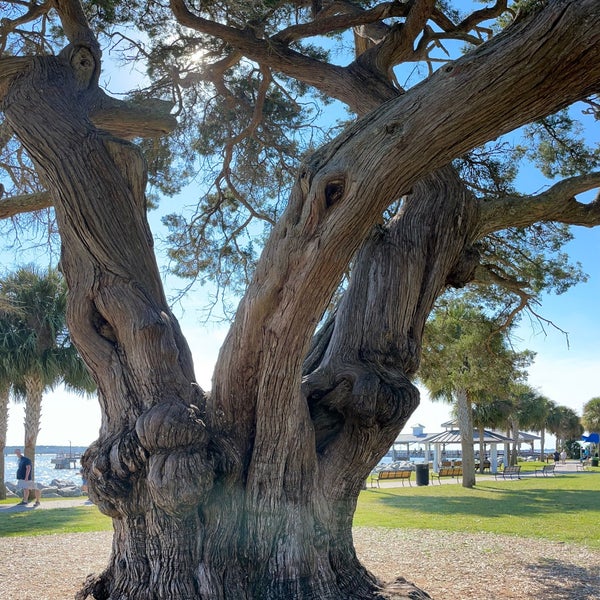 Neptune Park - Park in Saint Simons Island