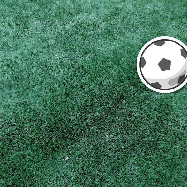 Oxstalls Sports Park - Plock Court