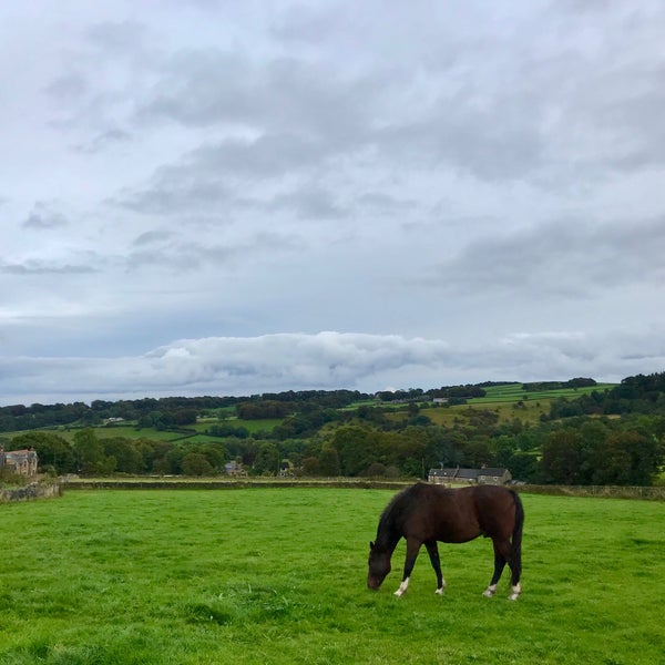 Upper Don Walk