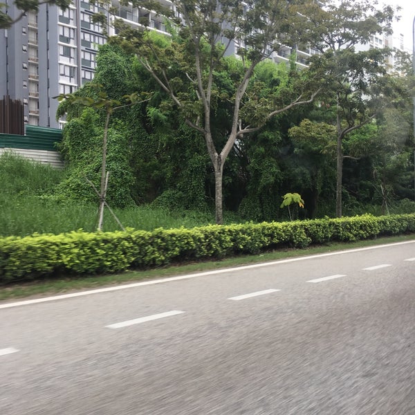 Seletar Expressway (SLE)