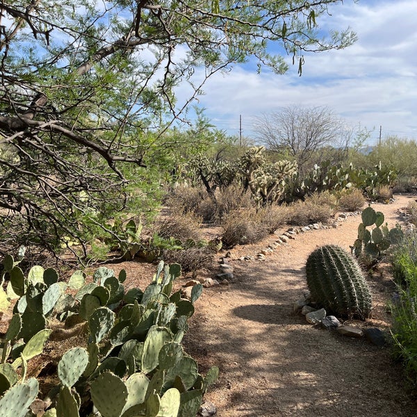 Photos at Tohono Chul Park - Tucson, AZ