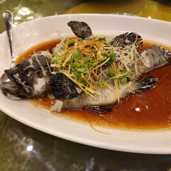 Jade Dragon Restaurant - Chinese Restaurant