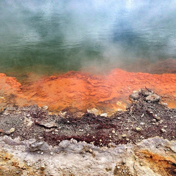 Champagne Pool - Scenic Lookout in Waiotapu