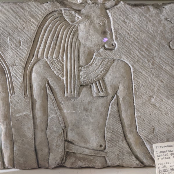 Petrie Museum of Egyptian Archaeology - Bloomsbury - Malet Pl