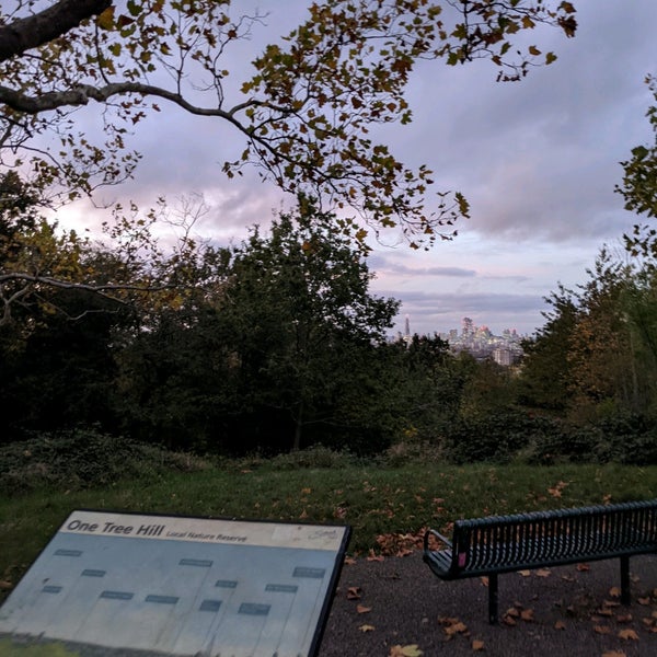 One Tree Hill - Scenic Lookout in Honor Oak