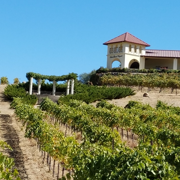 David Girard Vineyards - 2 tips from 167 visitors