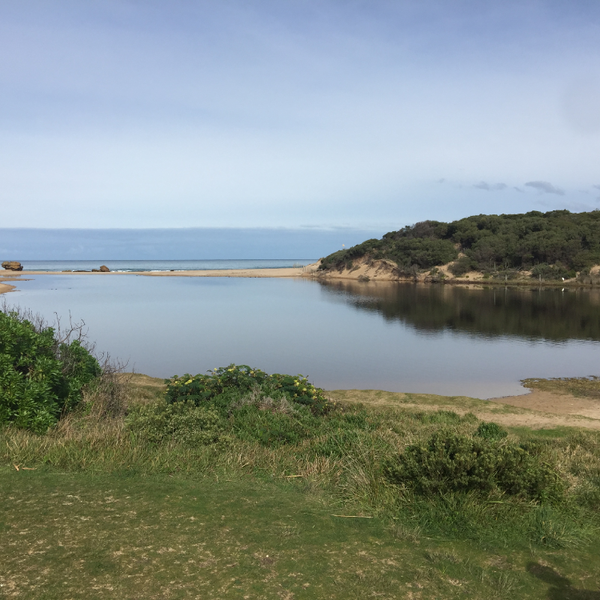 Aireys Inlet Holiday Park - 13 visitors