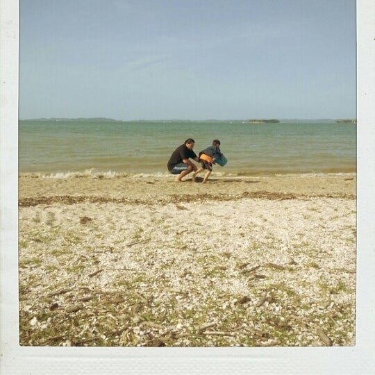 Howick Beach - Beach in Howick