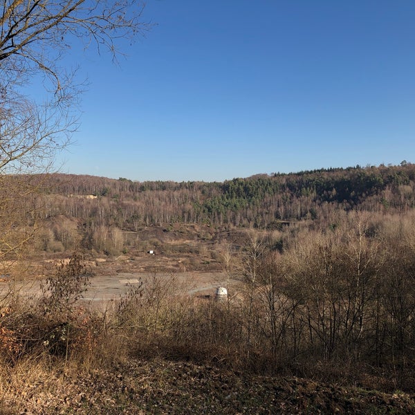 Grube Messel | Messel Pit - 4 tips from 128 visitors