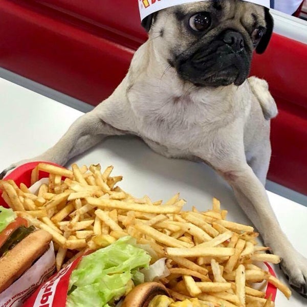 Angus Jack - 2638 W Sunset