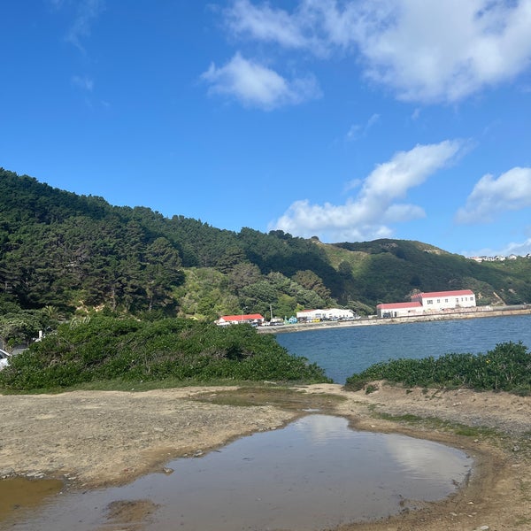 Shelly Bay - Maupuia, Wellington