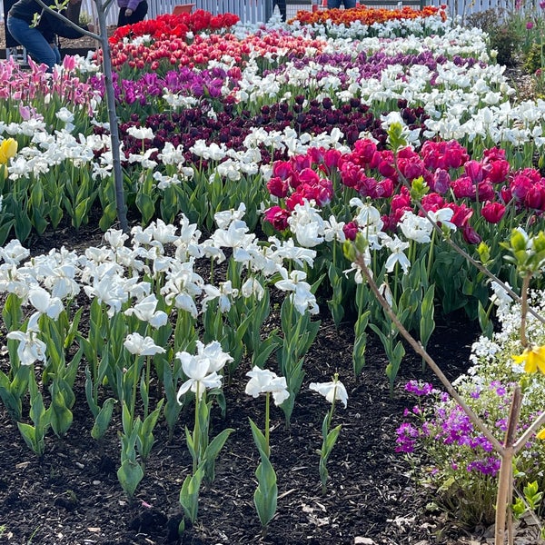 Bowral - Bowral, NSW