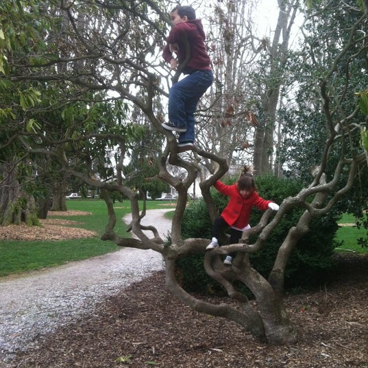 Photos at Elizabeth Park - 5 tips