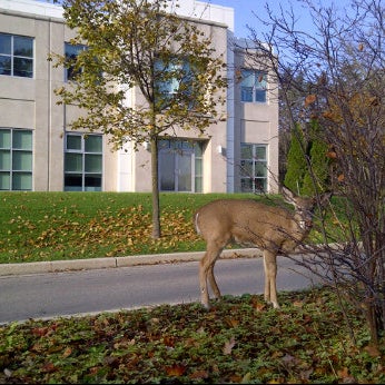 Convergence Centre - Masonville - 999 Collip Circle