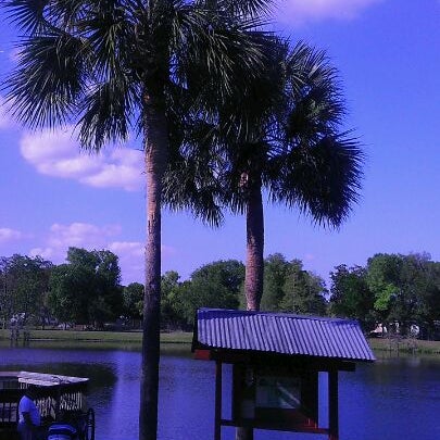 Photos at Demetree Park - Orlando, FL