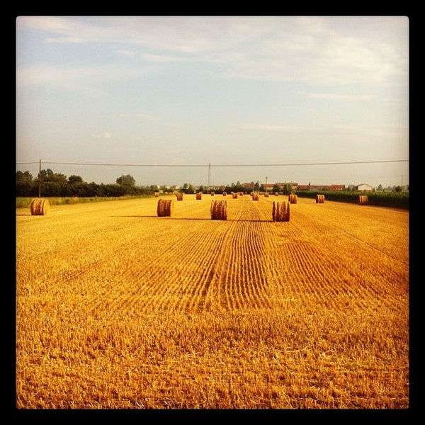 Narzole (CN) - Narzole, Piemonte