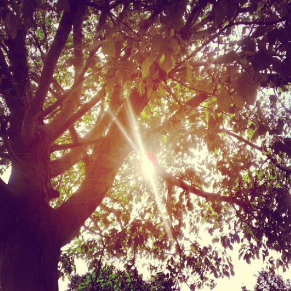 Lukas Elementary School - Elementary School in Broomfield