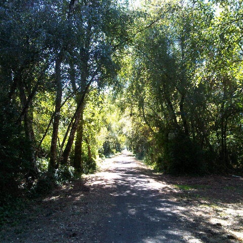 Shell Road Trail - East Cambie - 22 visitors